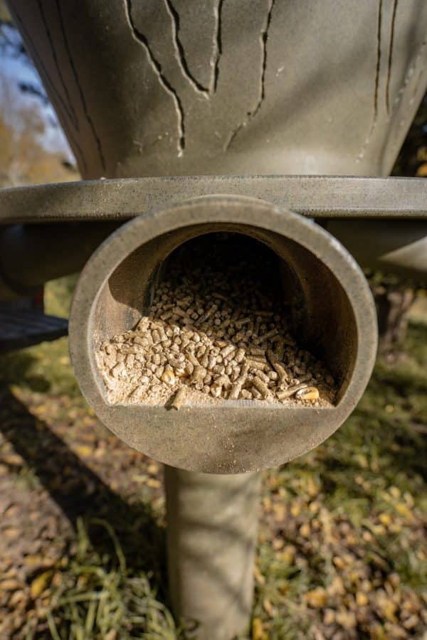 Early Spring Food Plot Prep: What to Plant in March – Banks Outdoors