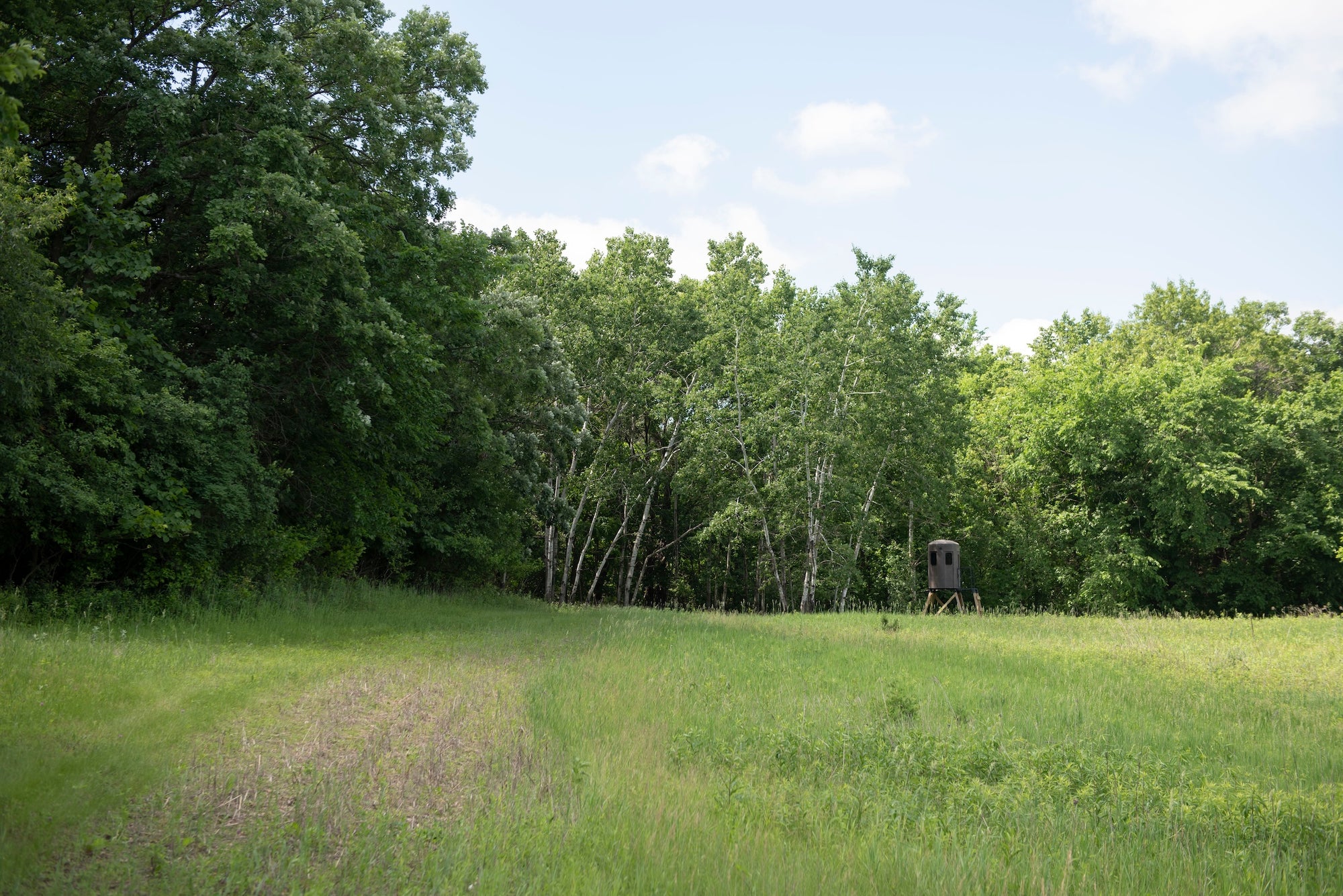 Banks Outdoors | THE STUMP 2 'PHANTOM'