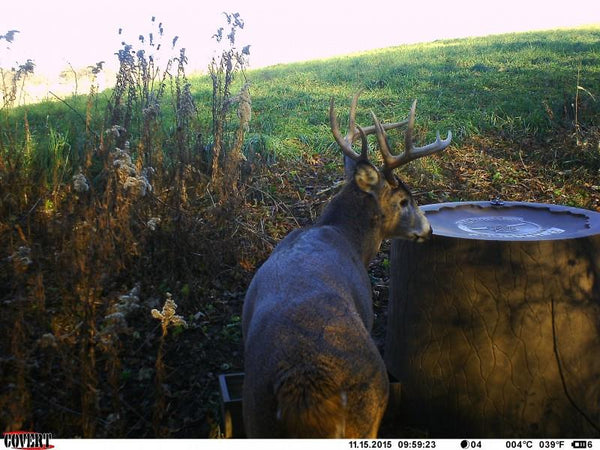 Banks Outdoors | WILD WATER® WATERING SYSTEM
